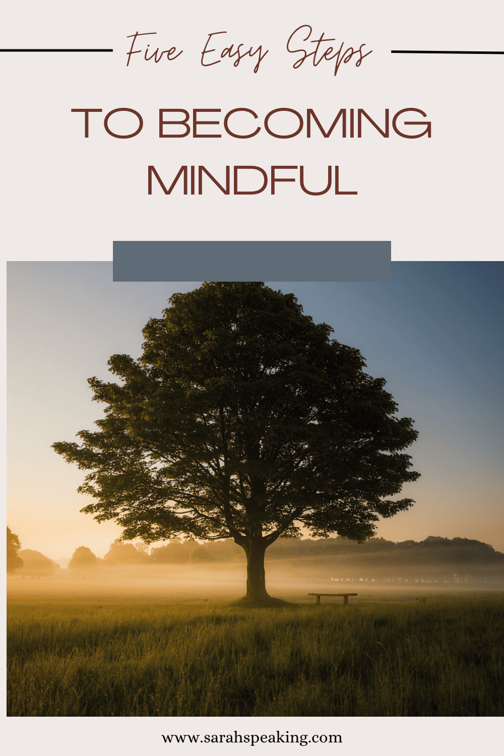 5 Easy Steps to becoming Mindful - Sarah Speaking